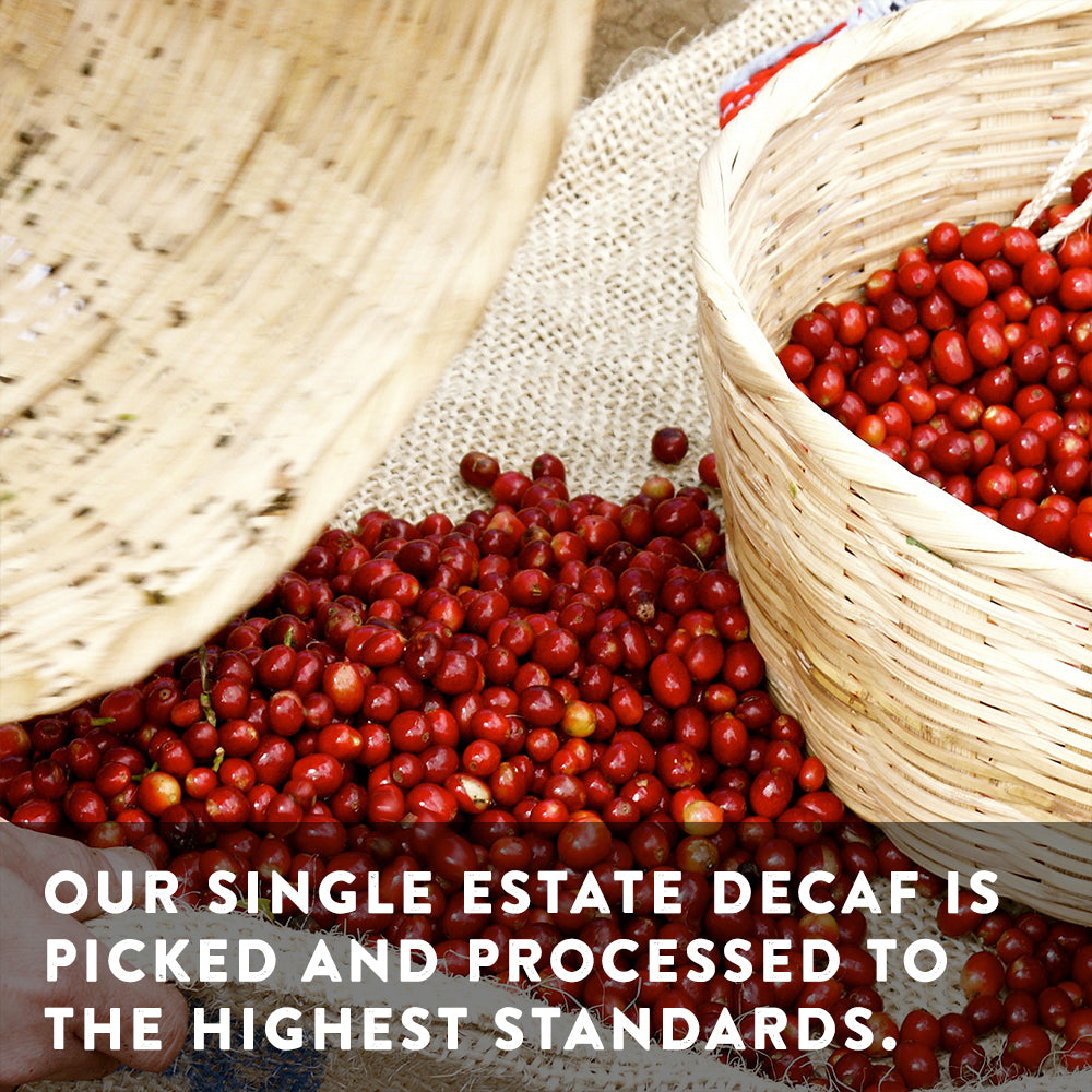 The Decaf Single Origin – Beanmachines